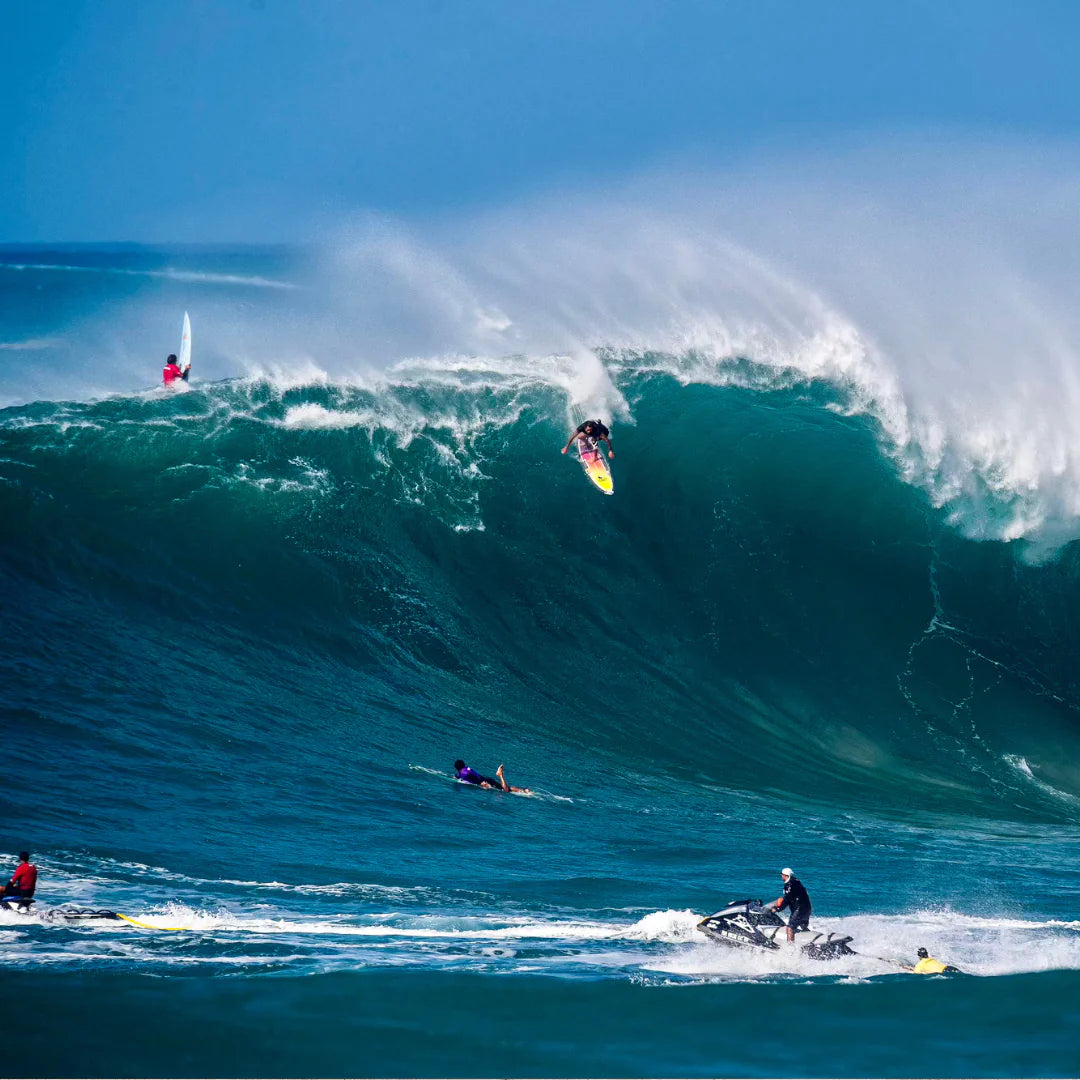 Surfboards, Wetsuits & Accessories | Jack’s Surfboards – Jack's Surfboards